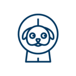 Best Vet Hospital In Fort Collins, CO 80525 | The Pet Wellness Clinic